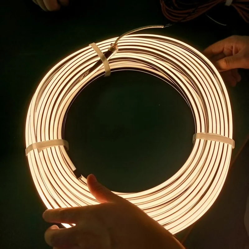 2 Rolls 16.5m 6*12mm Black Neon Lights, Controller and Power Supply ...